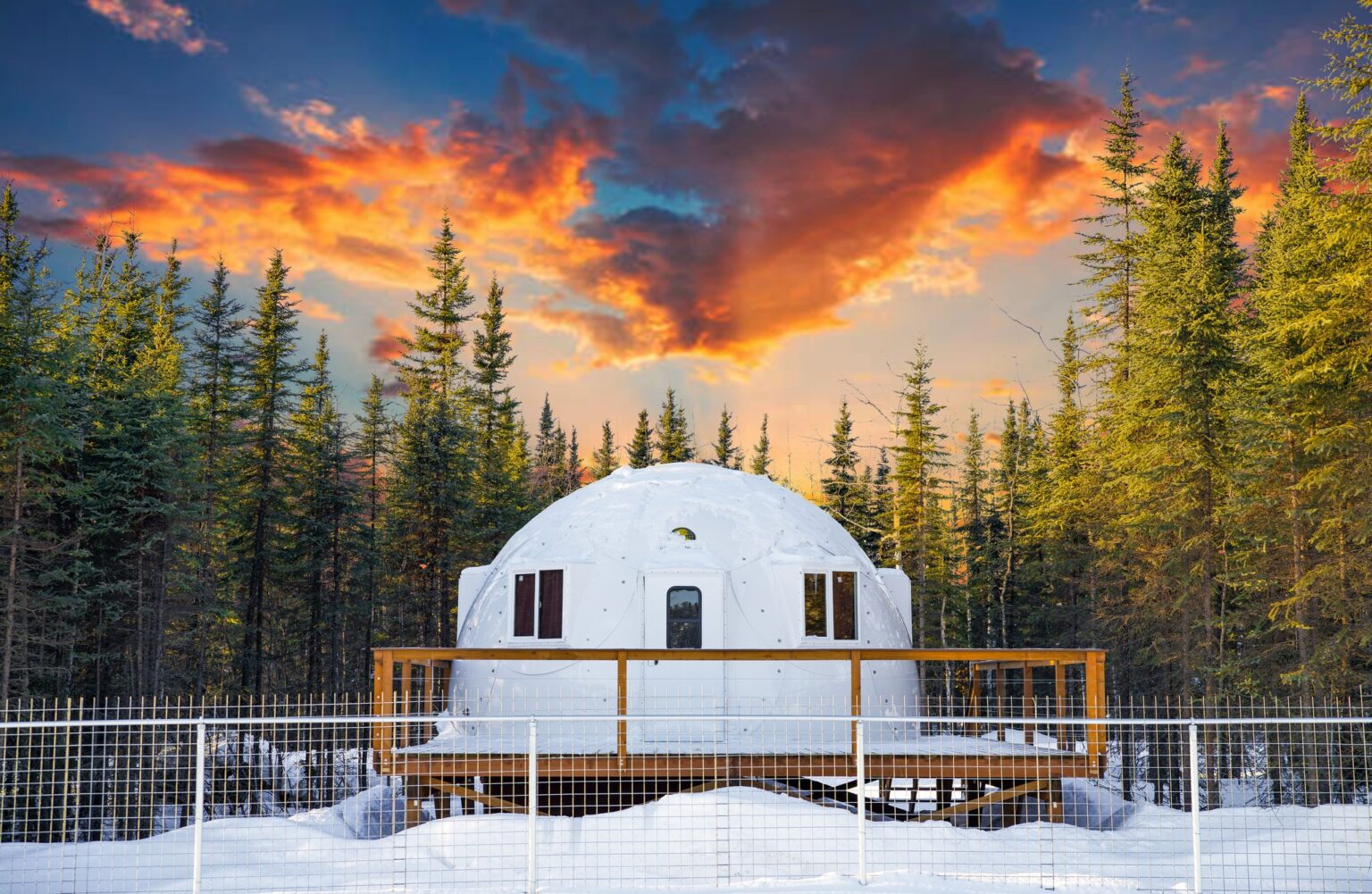 Tiny Houses - Intershelter Inc.